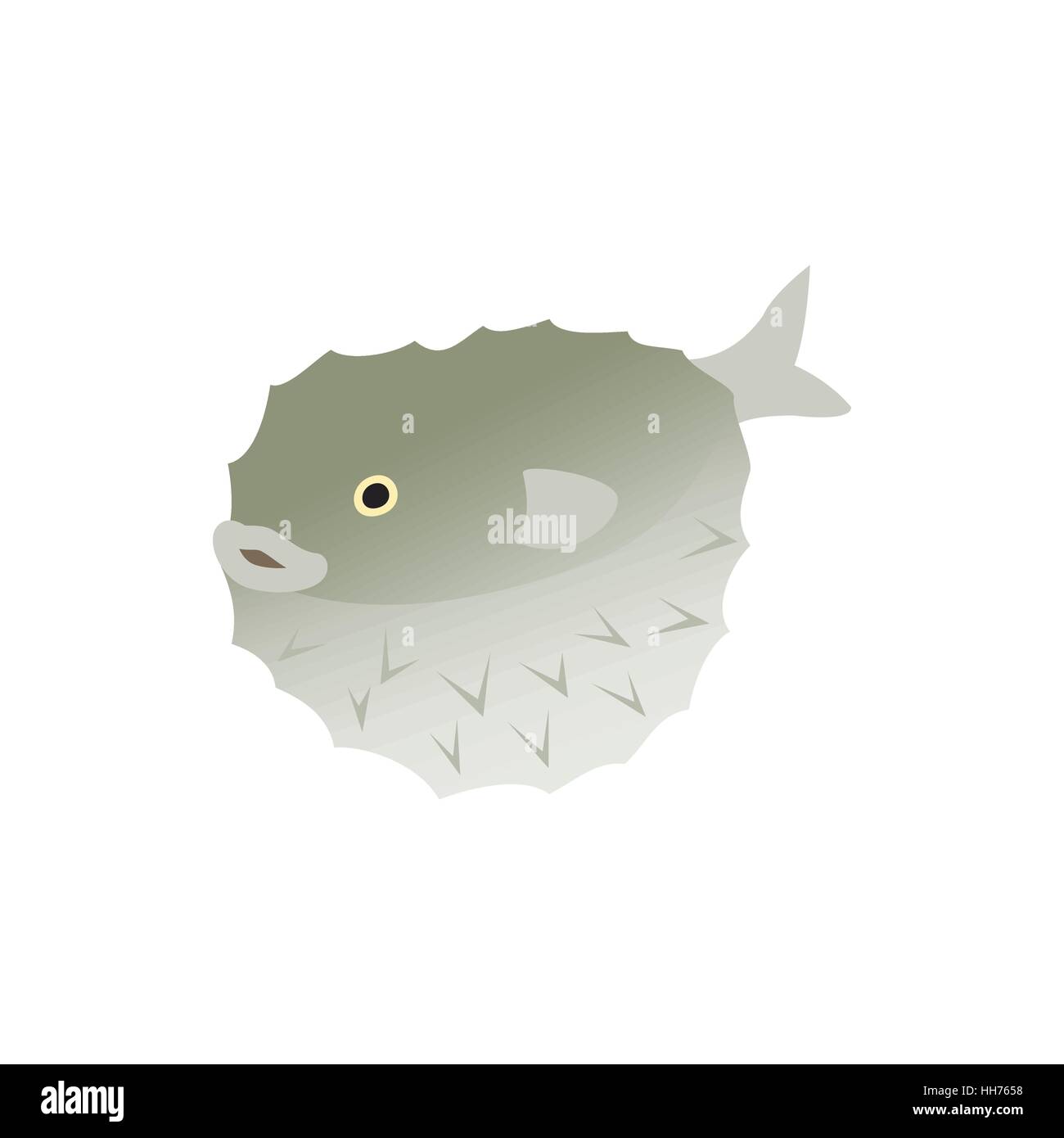 Puffer fish tropical marine Cut Out Stock Images & Pictures - Alamy
