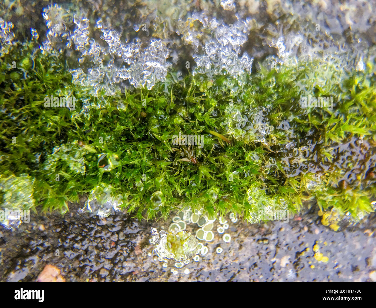 Microscope landscape High Resolution Stock Photography and Images - Alamy