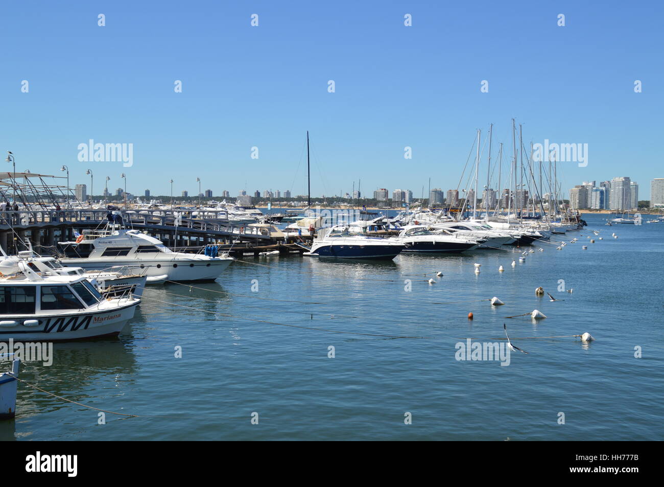 Yachts and boats docked at the scenic port of Punta del Este in Uruguay ...