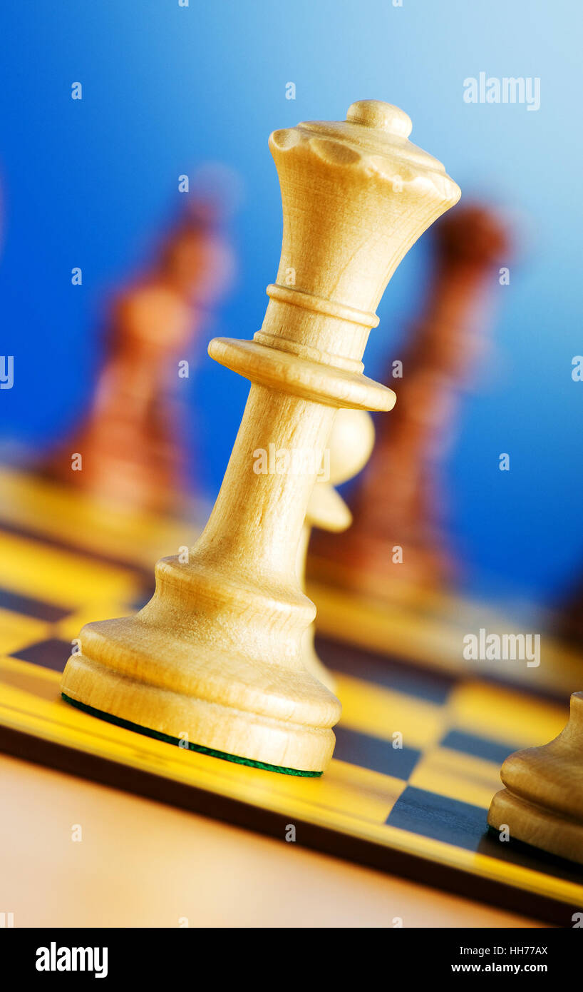 Set of chess figures on the playing board Stock Photo - Alamy