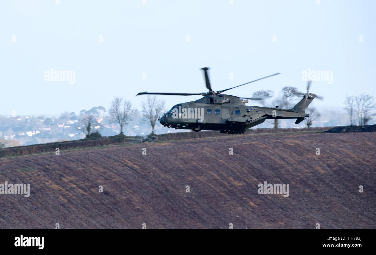 A Merlin MK3 Royal Navy helicopter over farmland in Devon England UK ...