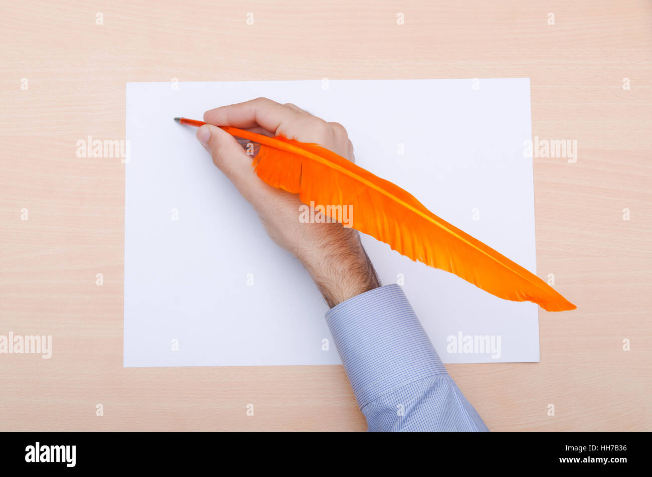 note, memo, write, wrote, writing, writes, single, art, isolated, bird ...