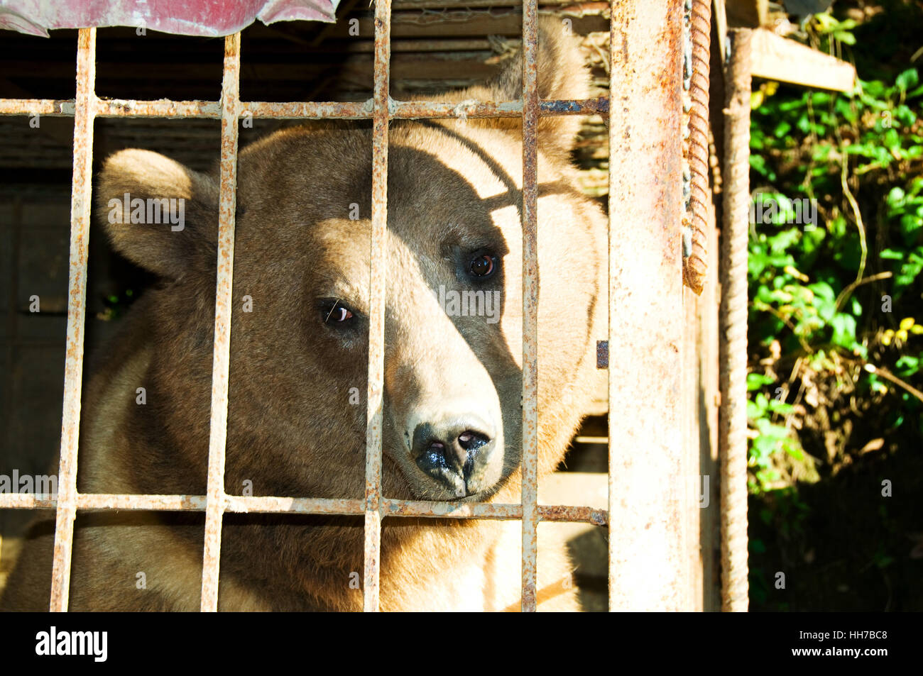 danger, big, large, enormous, extreme, powerful, imposing, immense ...