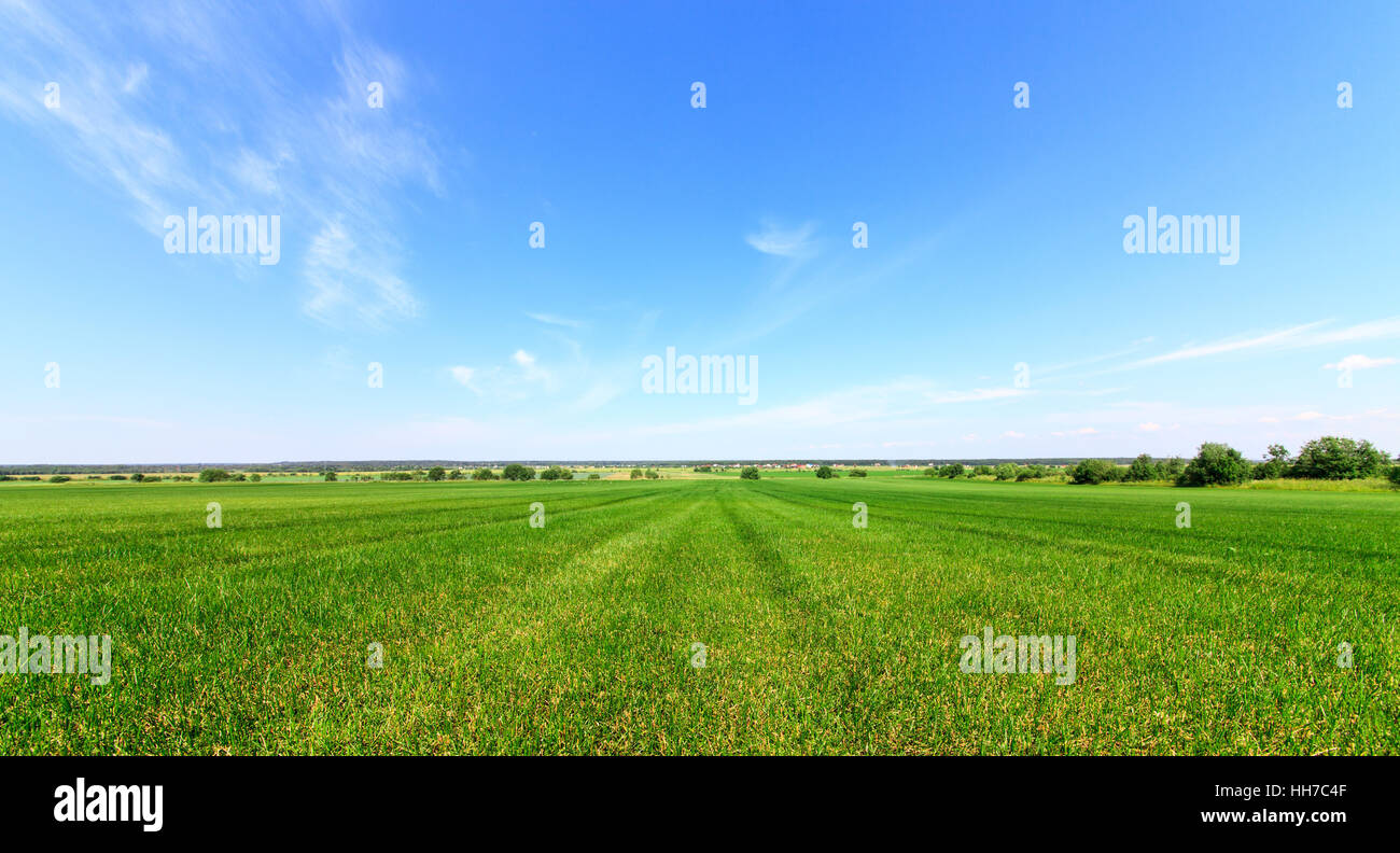 blue, beautiful, beauteously, nice, environment, enviroment, horizon ...