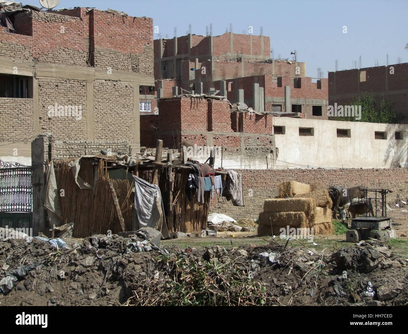 roadside scenery in Giza (Egypt) with slum-like houses in scruffy ...