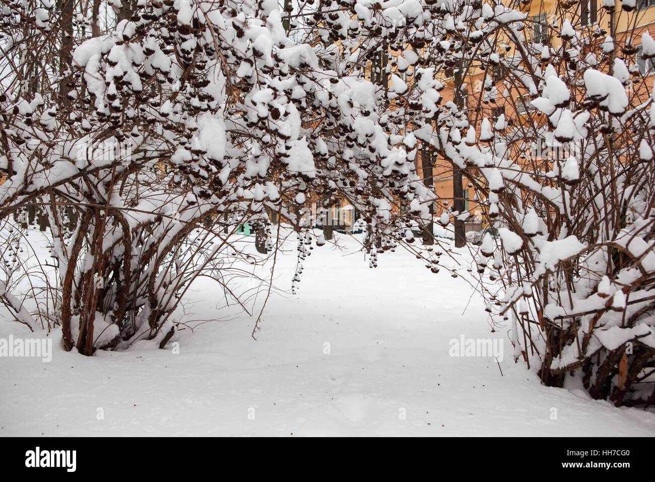 urban winter landscape Stock Photo - Alamy