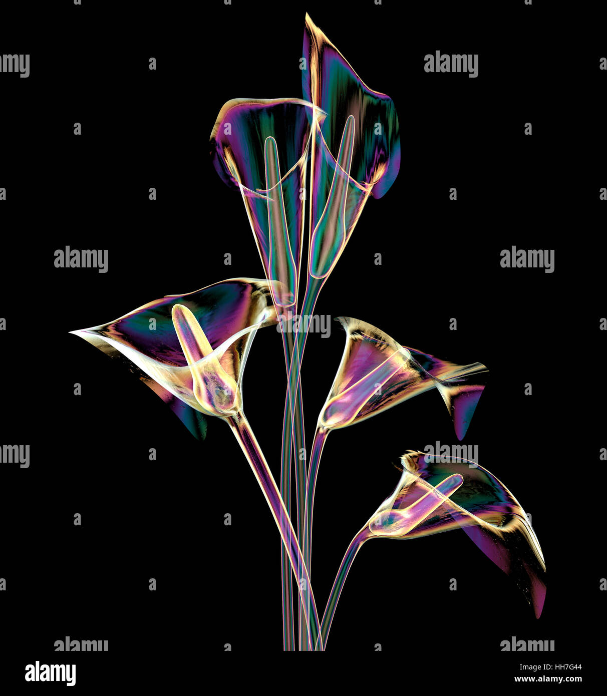 Calla lily x ray hi-res stock photography and images - Alamy