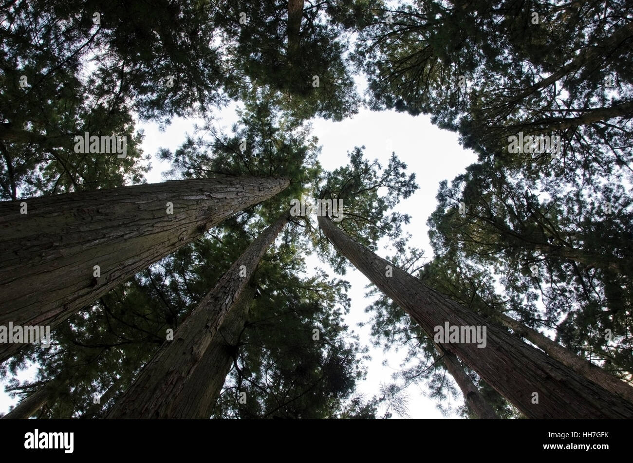 big, large, enormous, extreme, powerful, imposing, immense, relevant ...