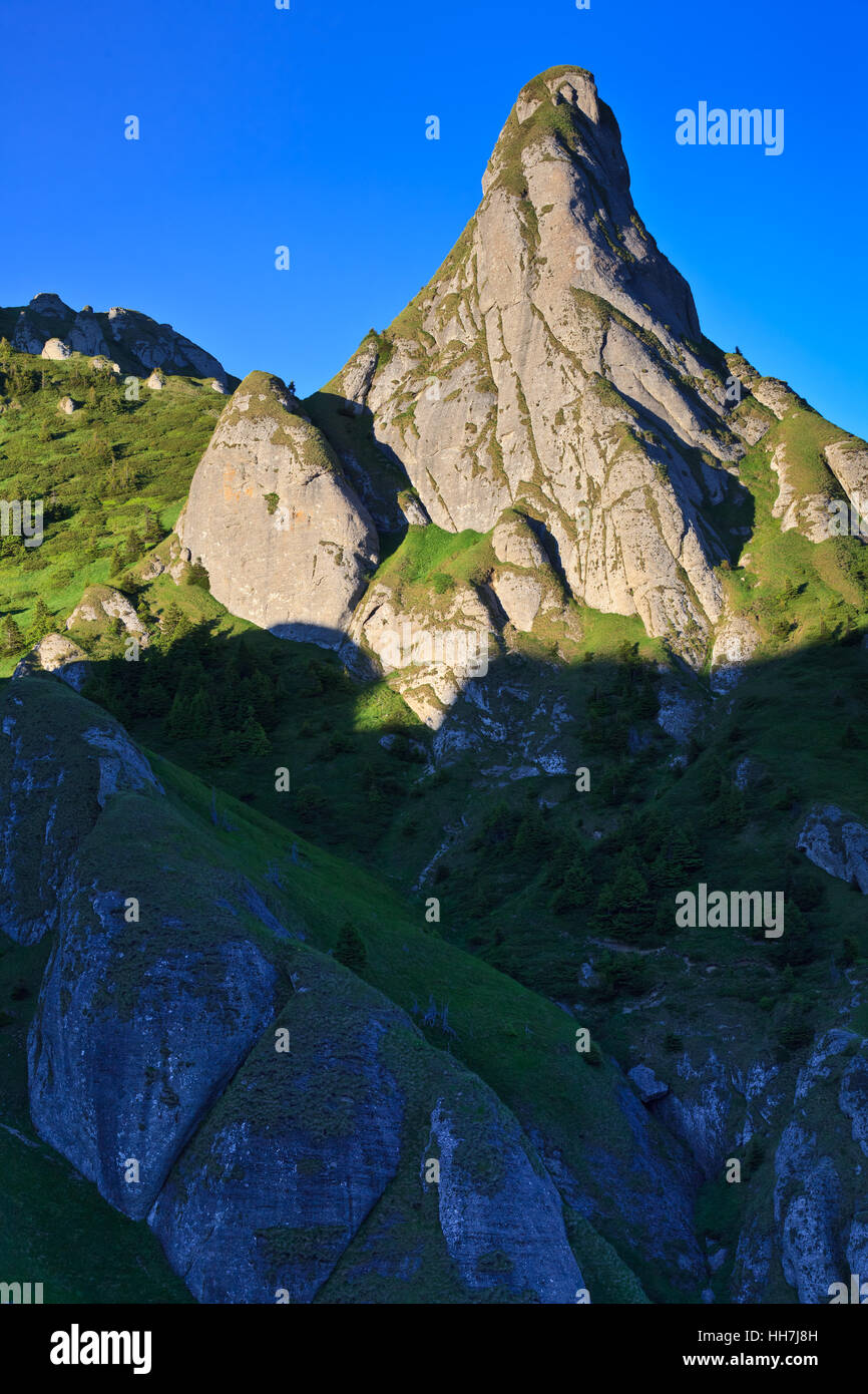 spring, bouncing, bounces, hop, skipping, frisks, jumping, jump, season ...