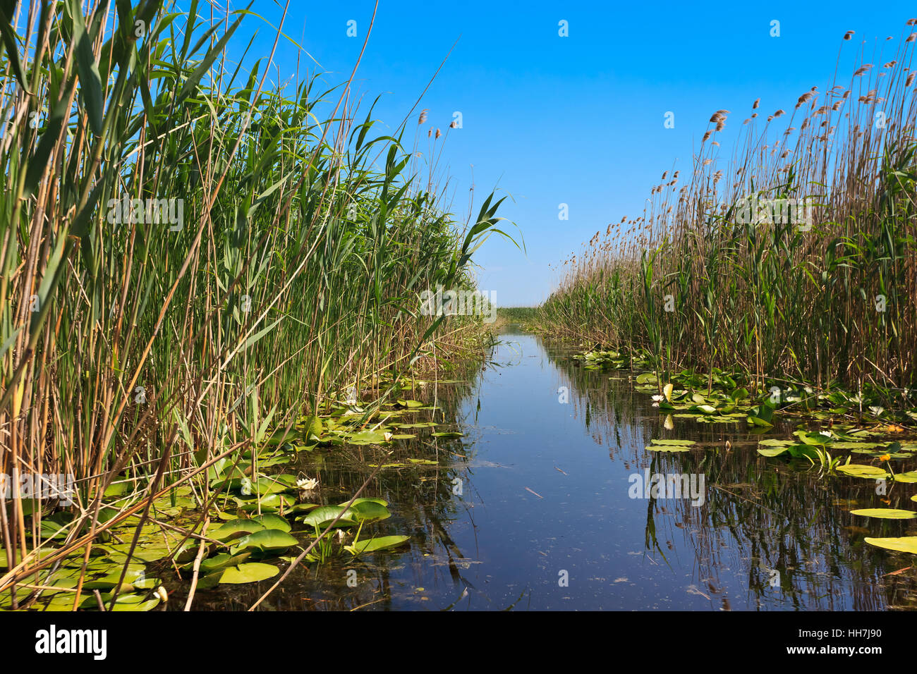 blue, channel, outdoor, landscape, scenery, countryside, nature, delta ...