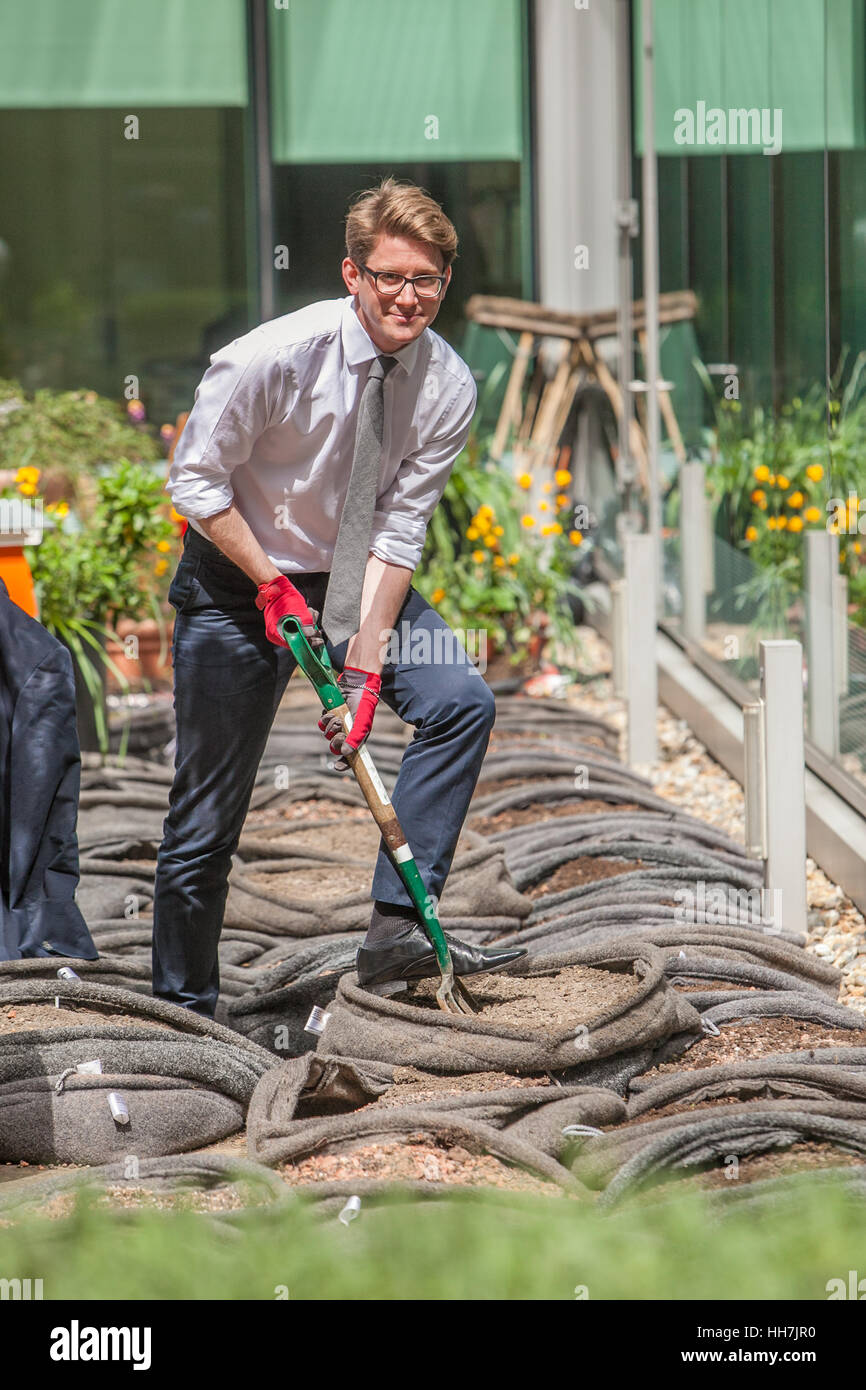 Office canteen suit hi-res stock photography and images - Alamy