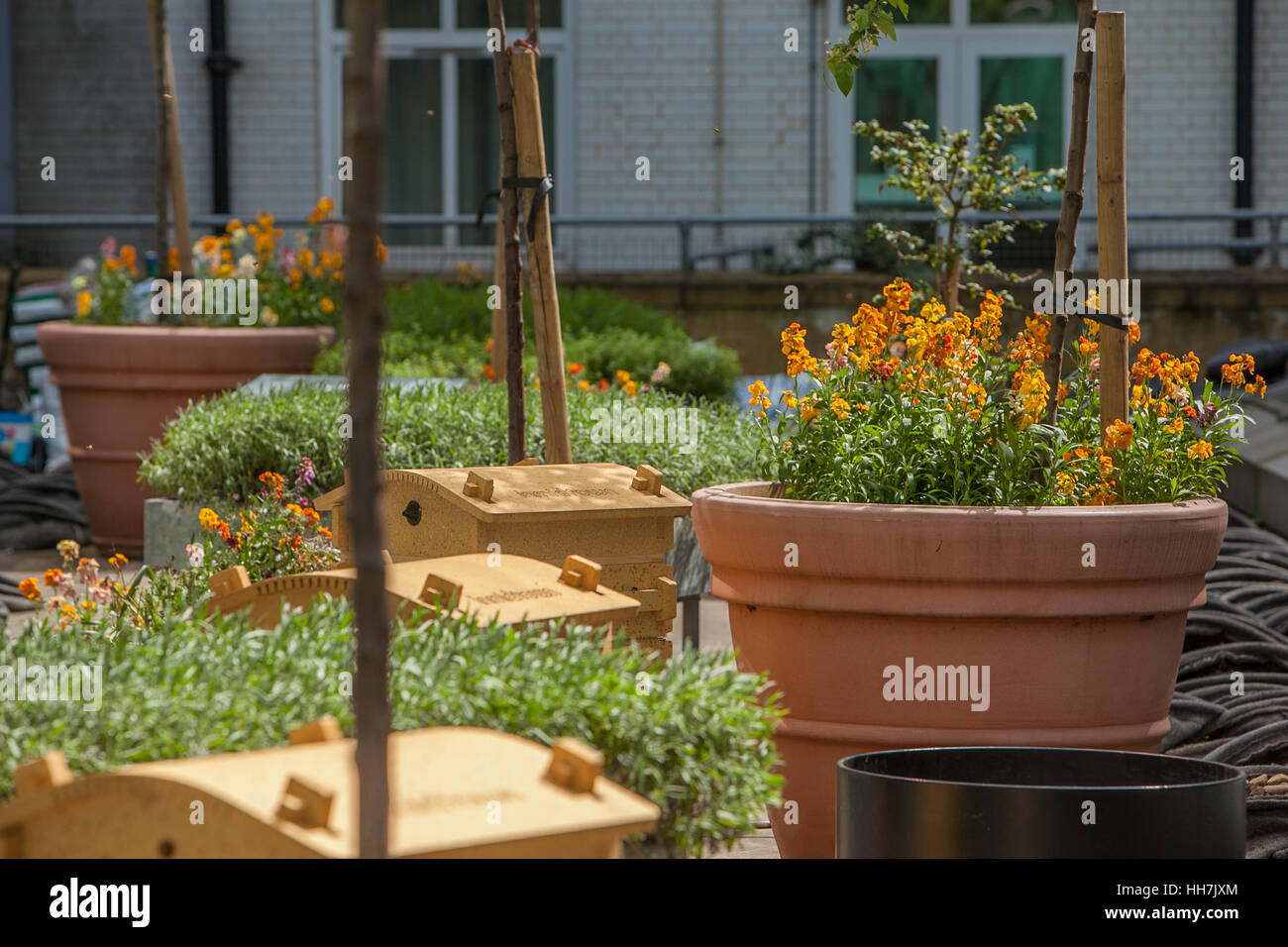 Office canteen suit hi-res stock photography and images - Alamy