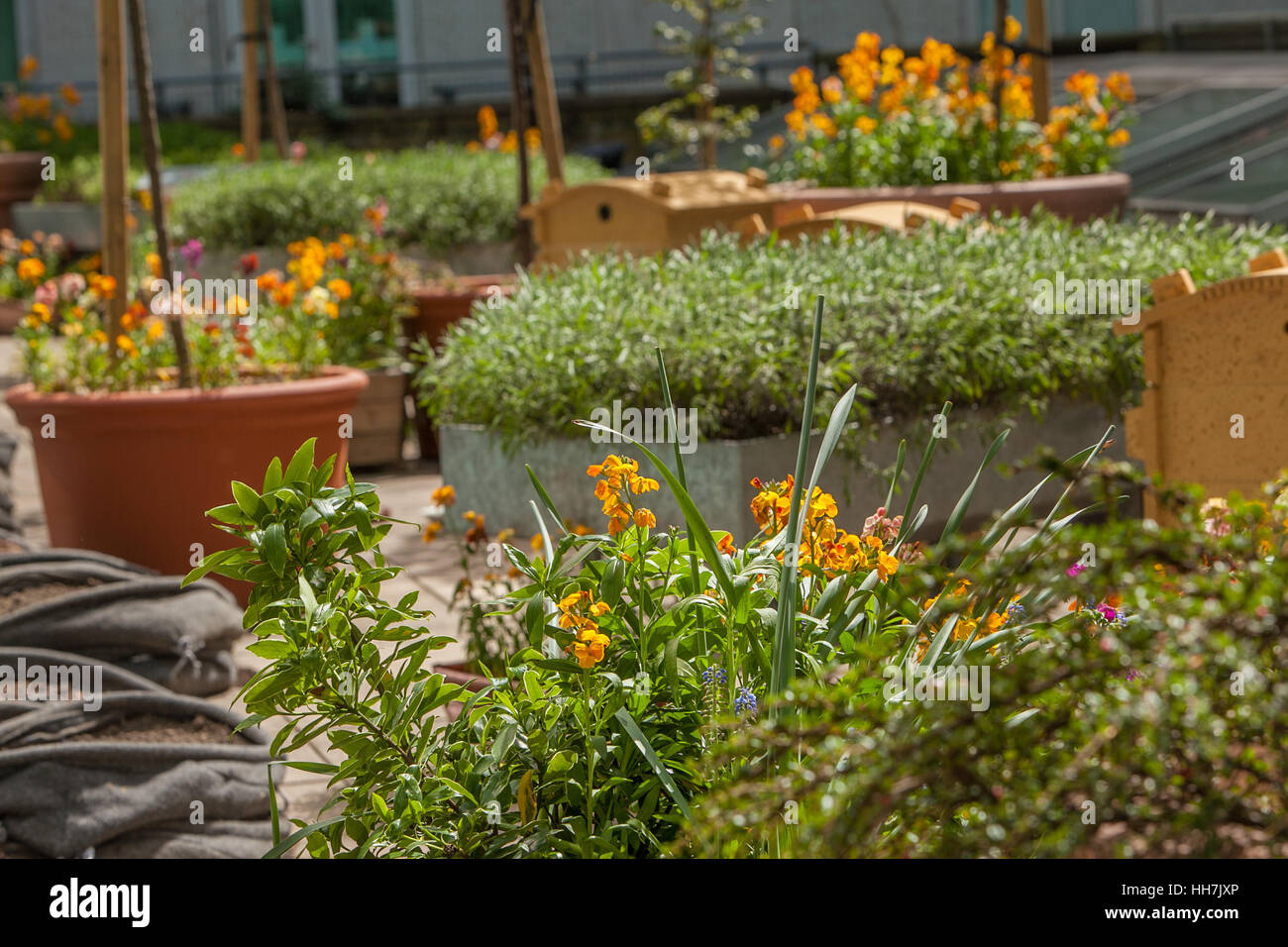 Office canteen suit hi-res stock photography and images - Alamy
