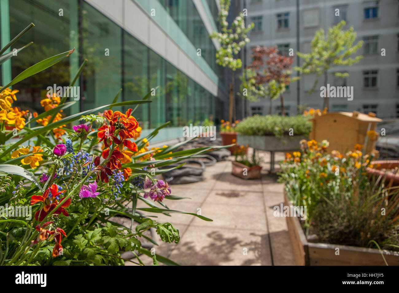 Office canteen suit hi-res stock photography and images - Alamy