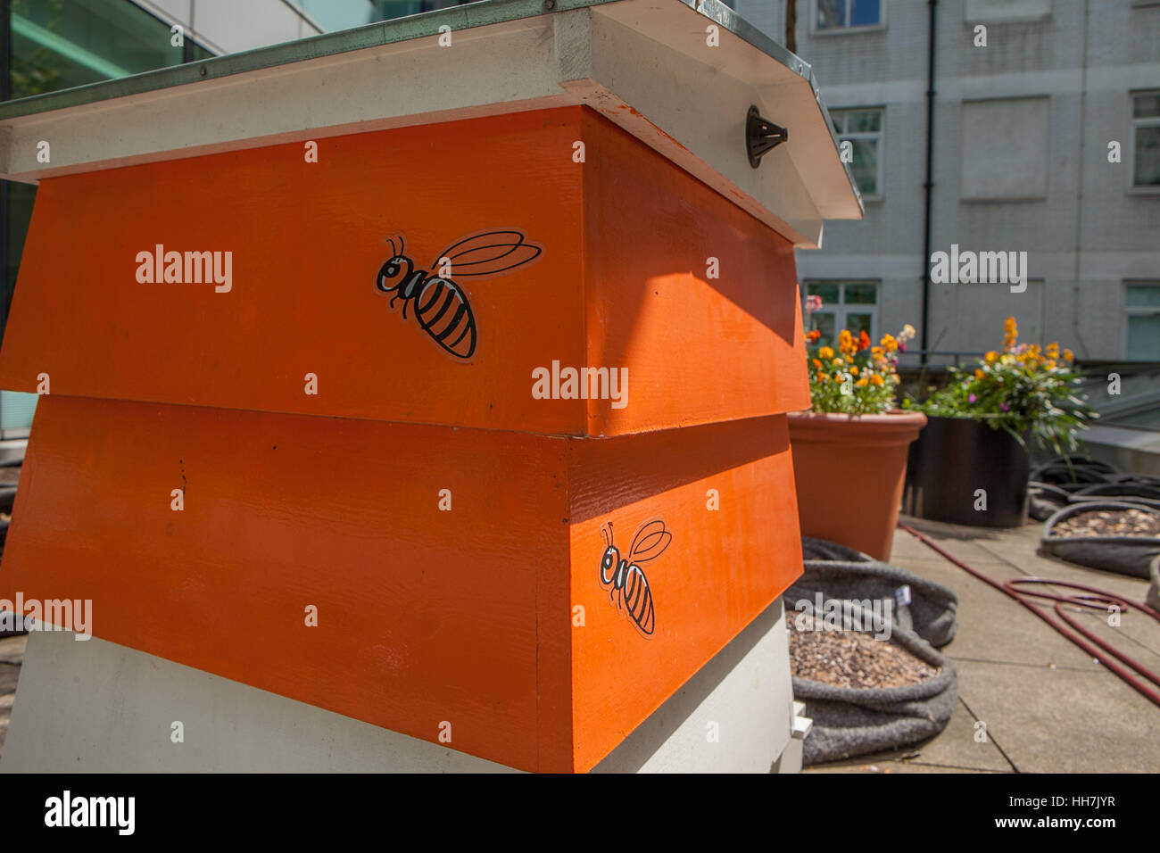 Office canteen suit hi-res stock photography and images - Alamy