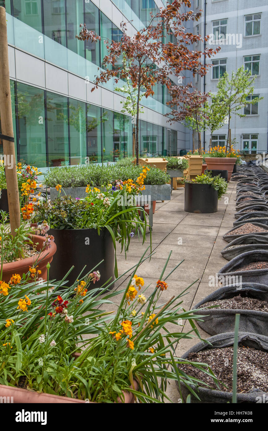 Olswang High Resolution Stock Photography and Images - Alamy