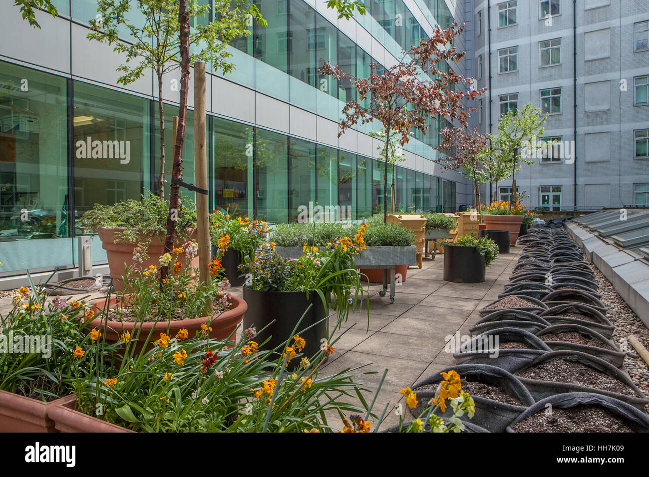 Firm olswang hi-res stock photography and images - Alamy