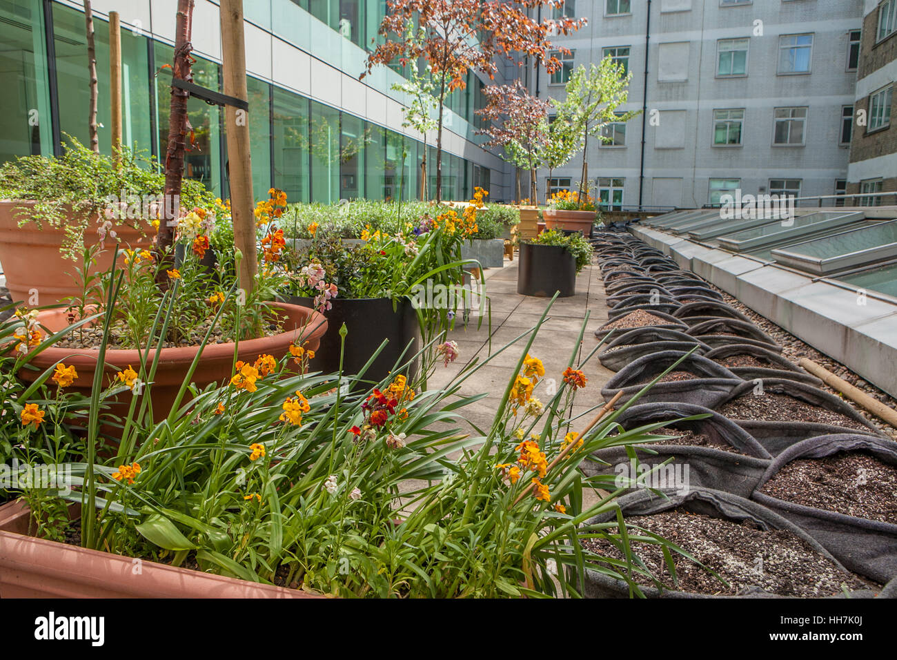Office canteen suit hi-res stock photography and images - Alamy