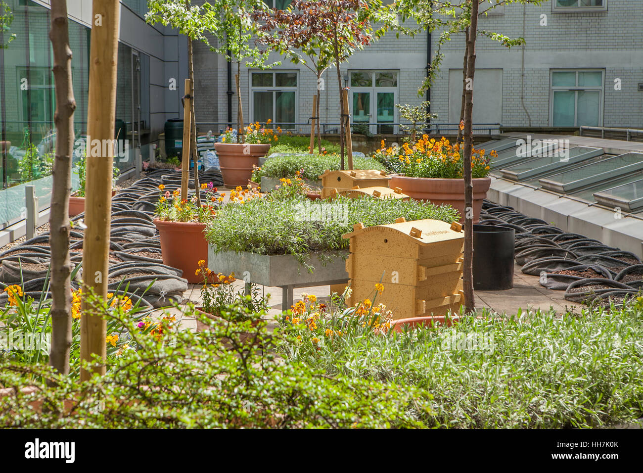 Office canteen suit hi-res stock photography and images - Alamy