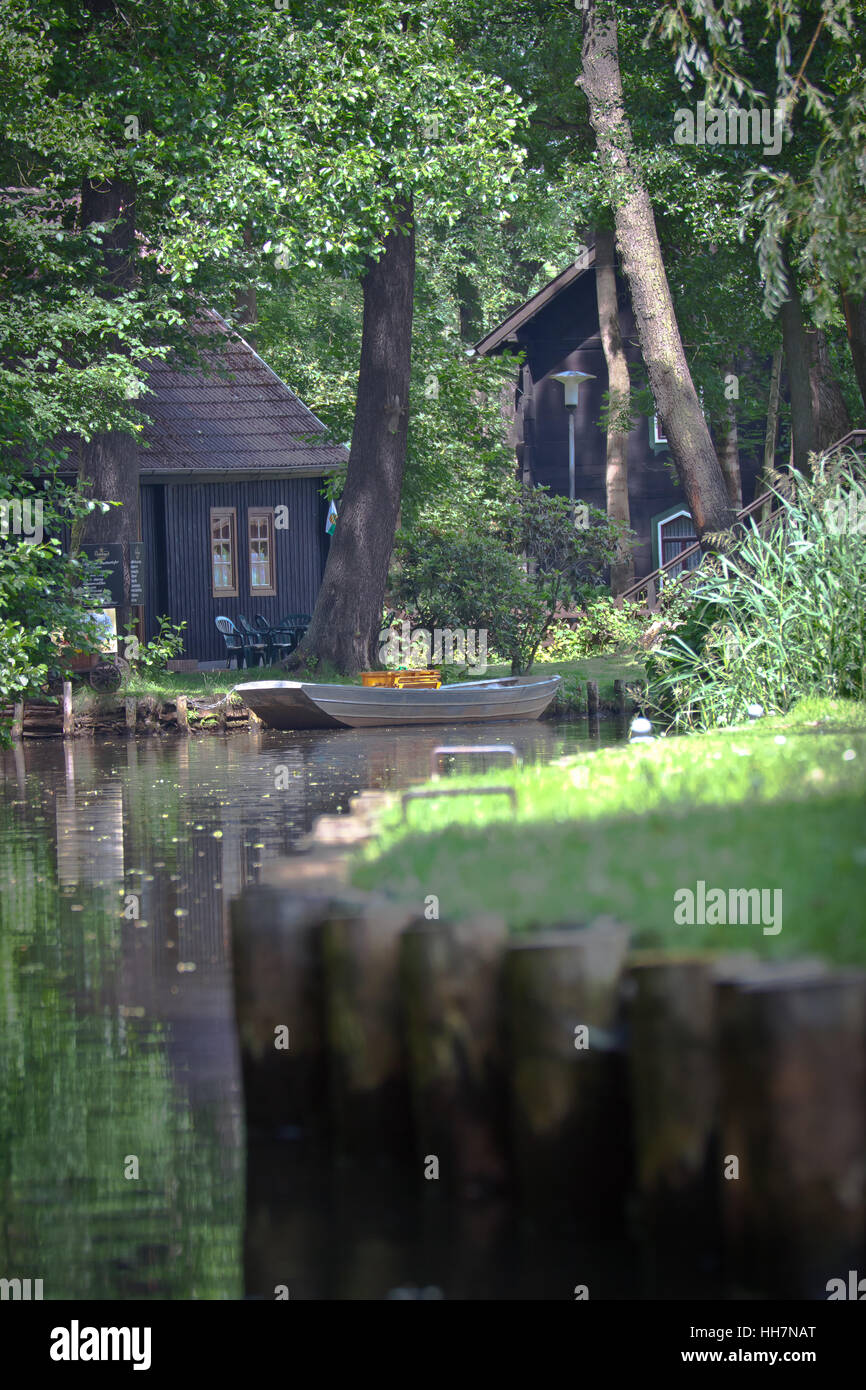 tree, trees, sunlight, reflections, idyll, scenery, countryside, nature ...