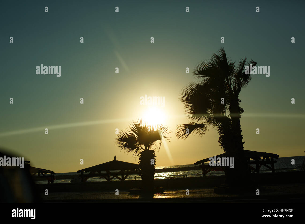 Tropical view on the beach with sun light and palm trees Stock Photo ...