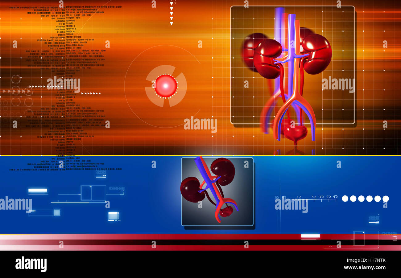 education, medicinally, medical, graphics, colour, illustration ...