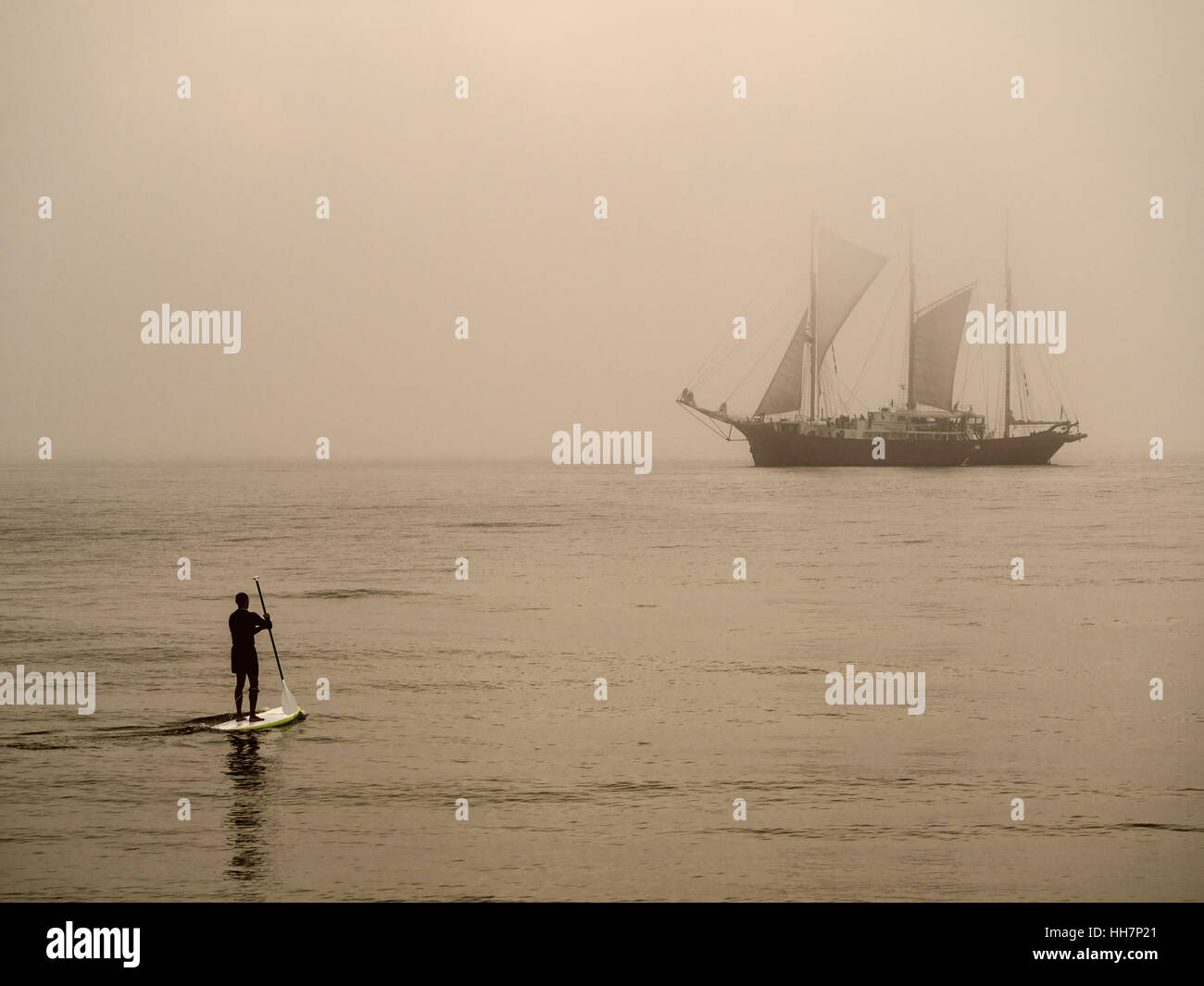 seafaring, sail, sailing ship, sailing boat, sailboat, rowing boat ...