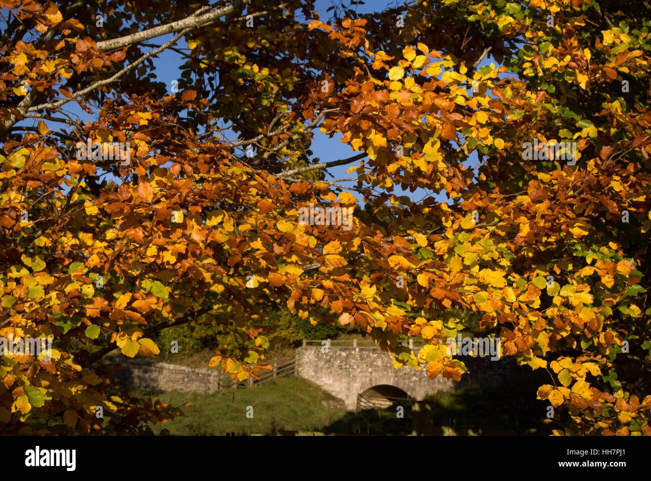 Bardon bridge hi-res stock photography and images - Alamy