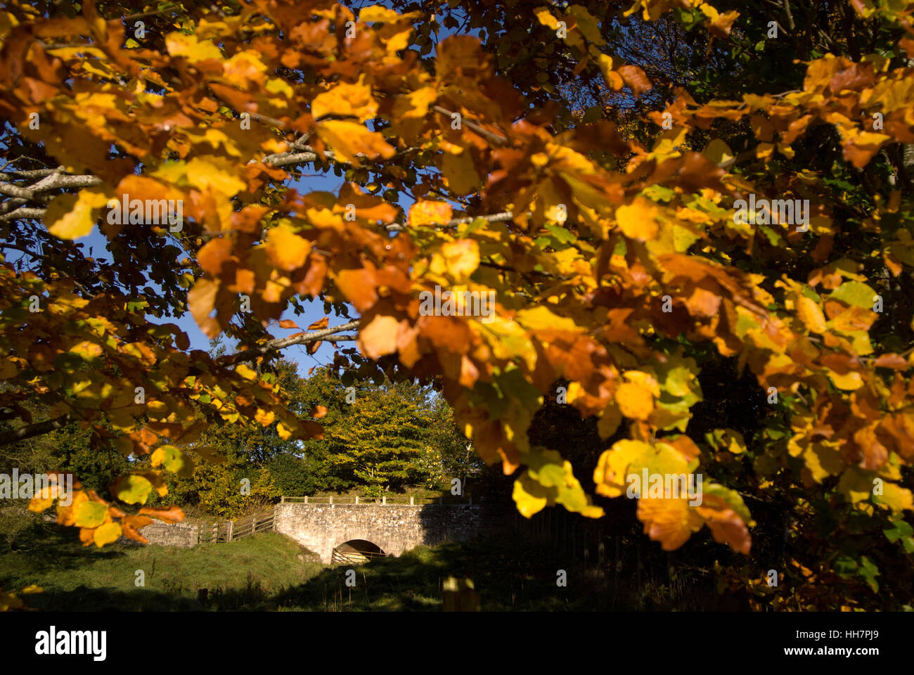 Bardon bridge hi-res stock photography and images - Alamy