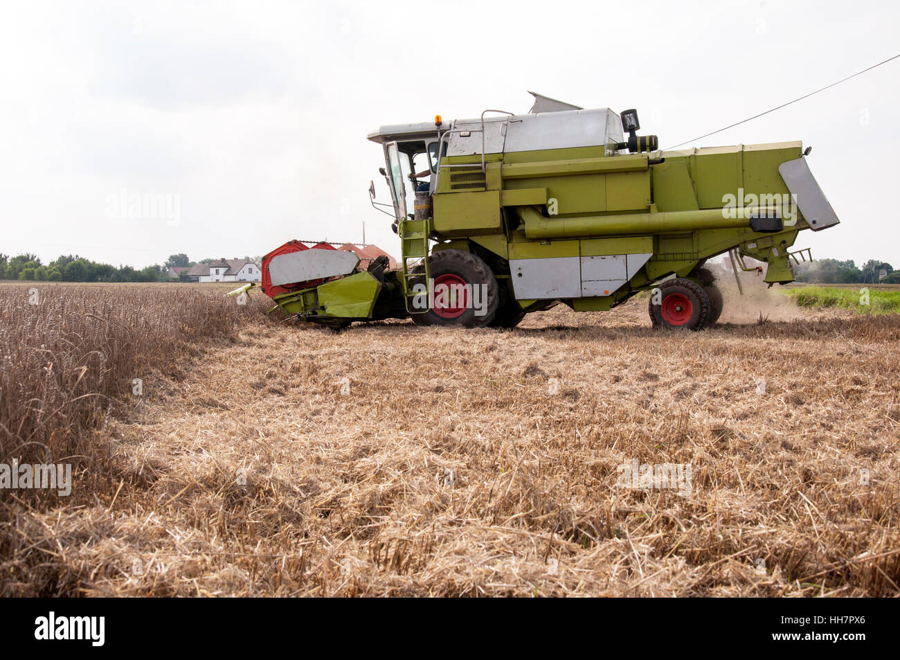 Combine harvesting crops Stock Photo - Alamy