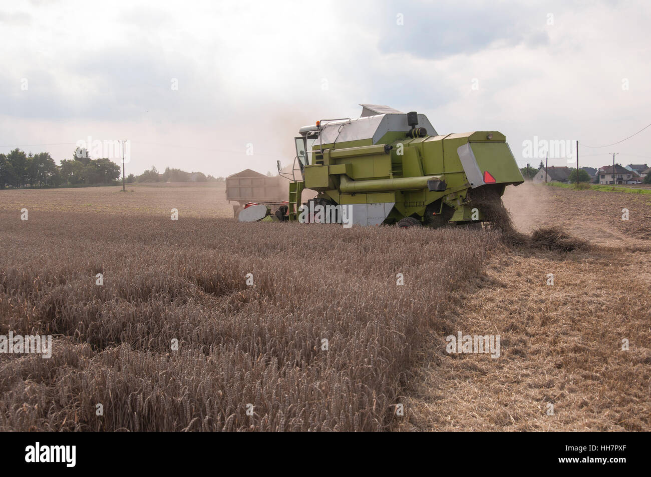 Combine harvesting crops Stock Photo - Alamy