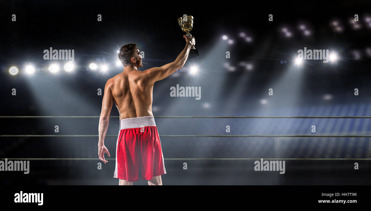 Professional box fighter on grand arena. Mixed media Stock Photo - Alamy