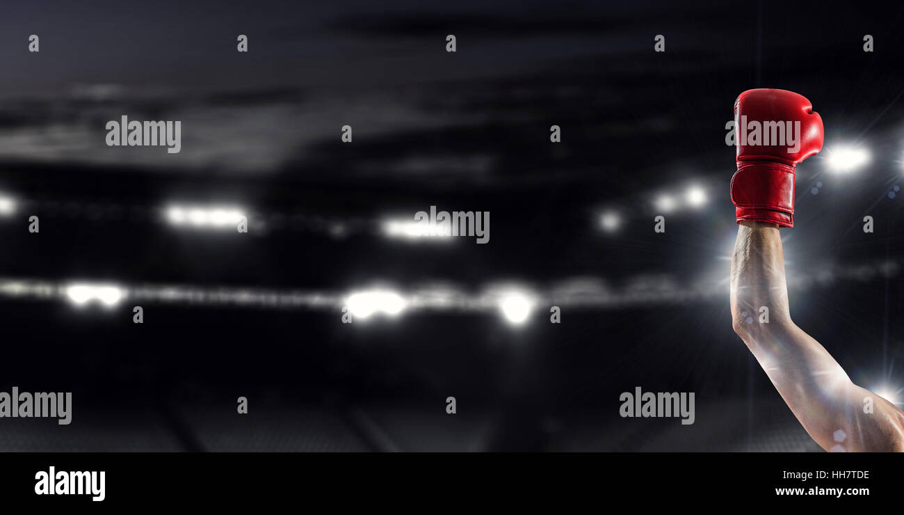 Professional box fighter on grand arena. Mixed media Stock Photo - Alamy