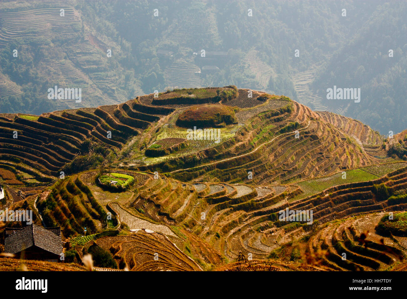 Longsheng Rice Terrace Stock Photo - Alamy