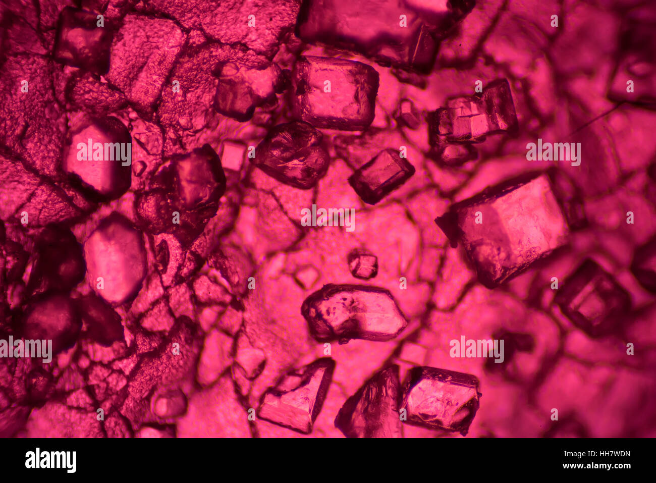 The Microscopic World. Fruit jelly under the microscope Stock Photo - Alamy