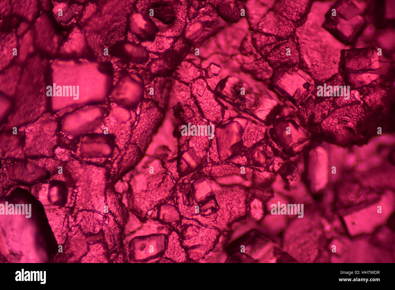 The Microscopic World. Fruit jelly under the microscope Stock Photo - Alamy