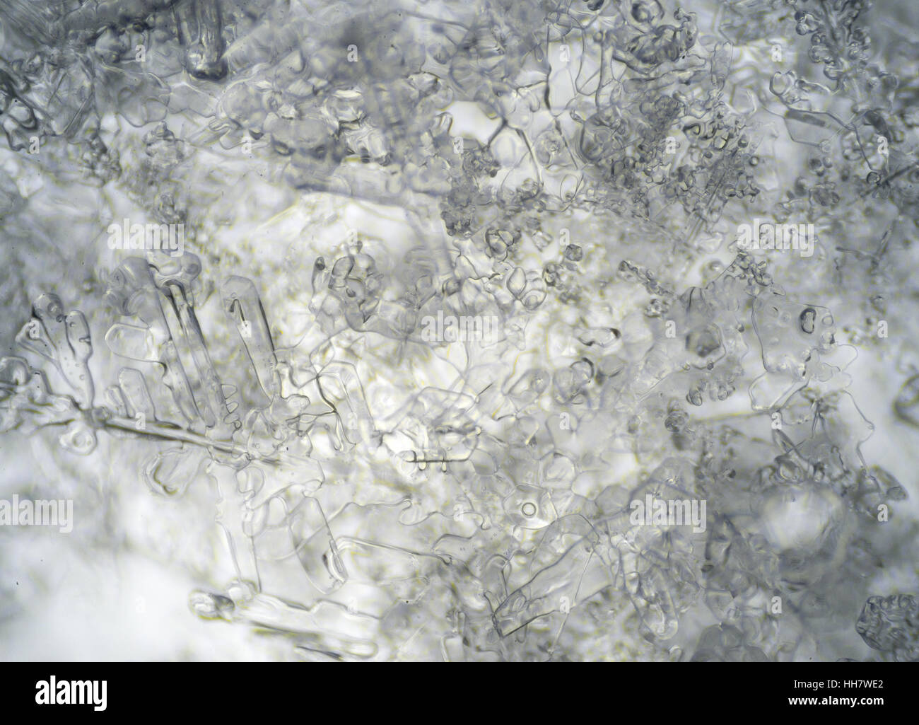The Microscopic World. Snowflakes under microscope Stock Photo - Alamy