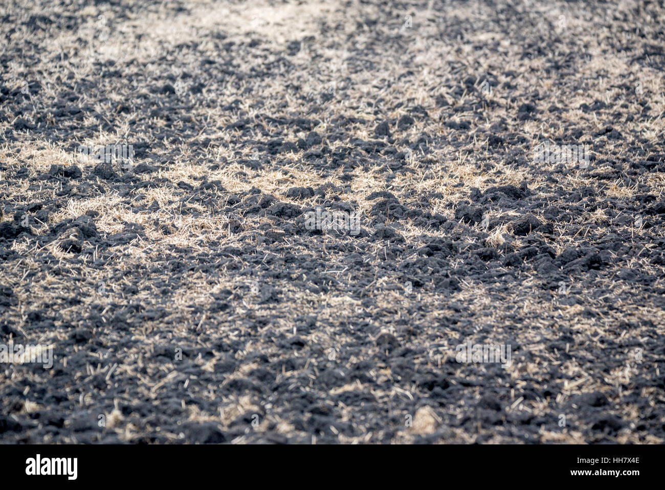 Brown realistic soil texture for ground texturing Stock Photo - Alamy