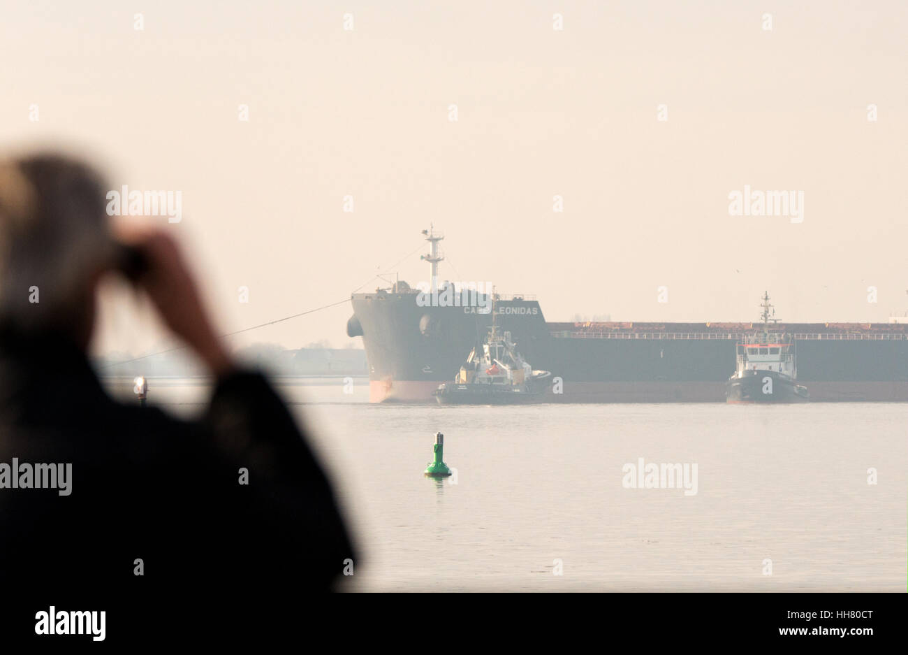 Kollmar, Germany. 17th Jan, 2017. The freighter Cape Leonidas lies ...