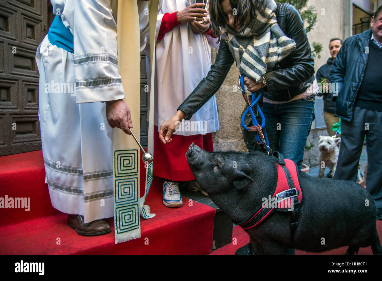 Madrid, Spain. 17th Jan, 2017. A Priest blessing a pig during the day ...