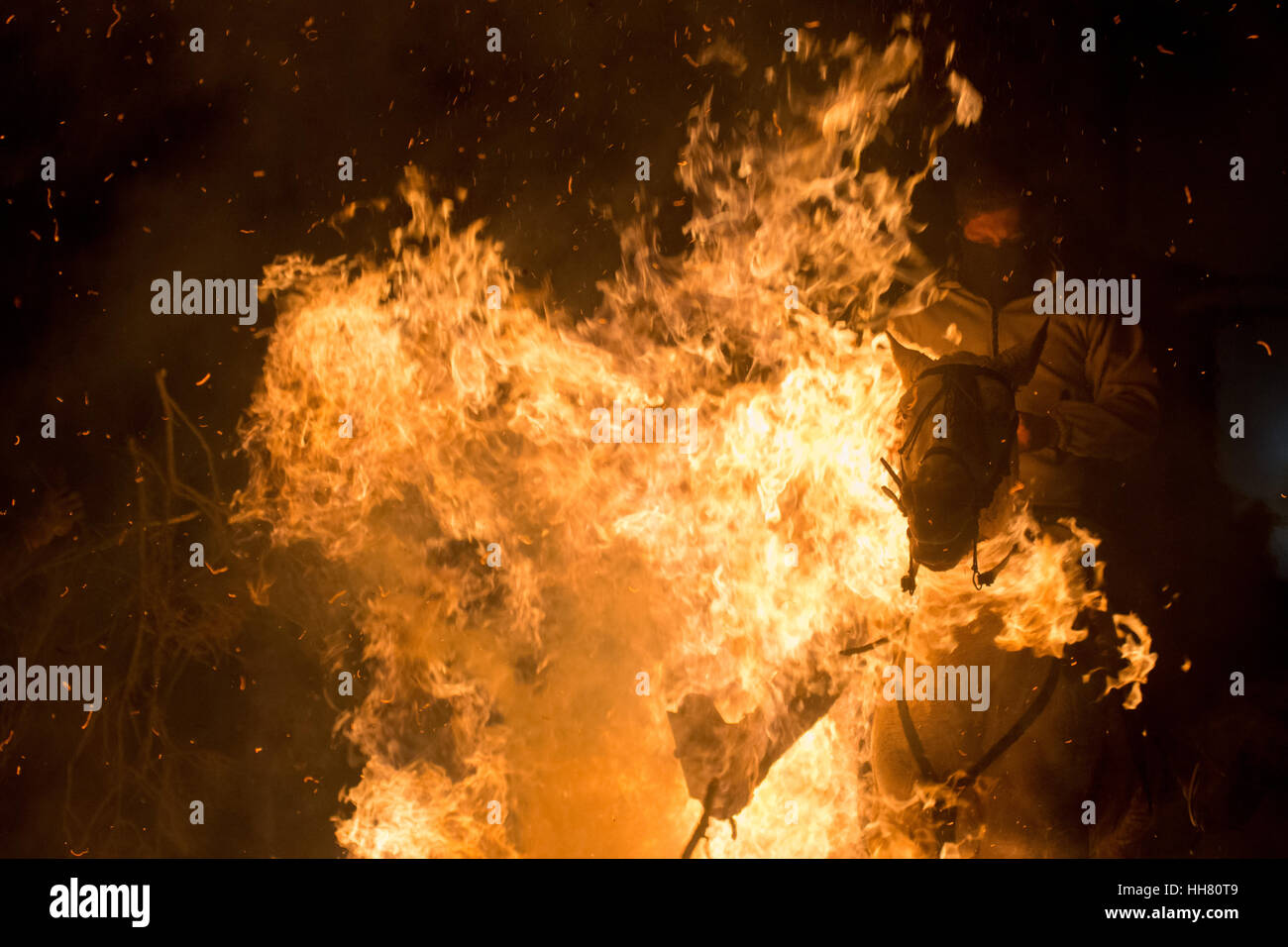 Horse jumping through fire hi-res stock photography and images - Alamy