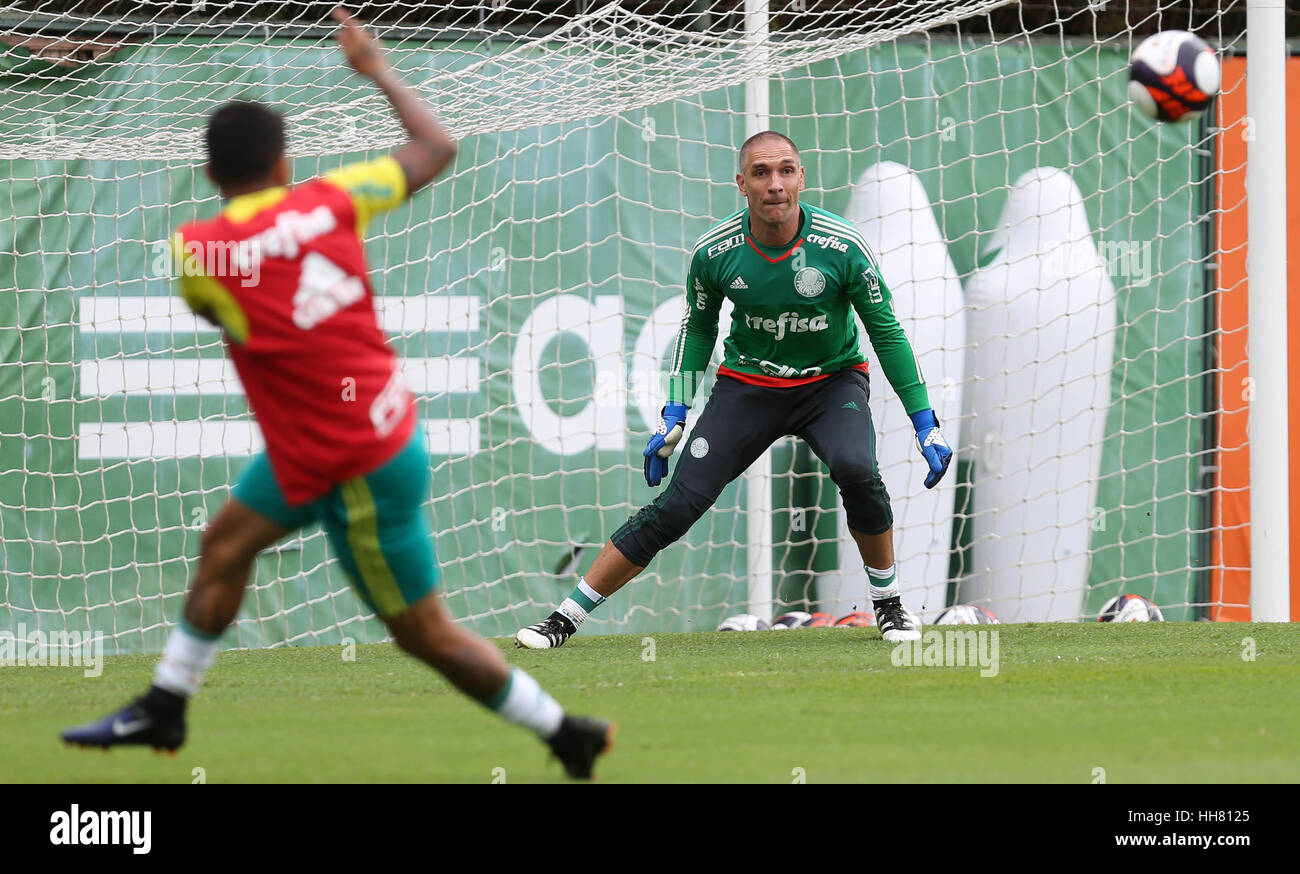 SÃO PAULO, SP - 17.01.2017: TREINO DO PALMEIRAS - The goalkeeper ...