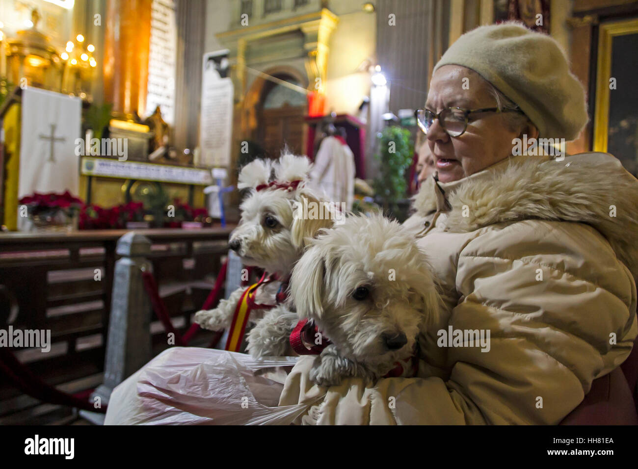 A priest blesses a dog during the feast of Saint Anthony, Spain's ...