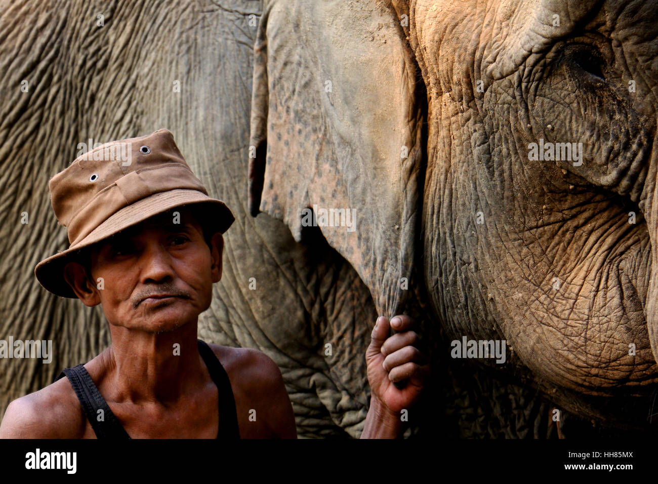 Bago, Myanmar's Ayayawaddy region, has been turned into an elephant ...