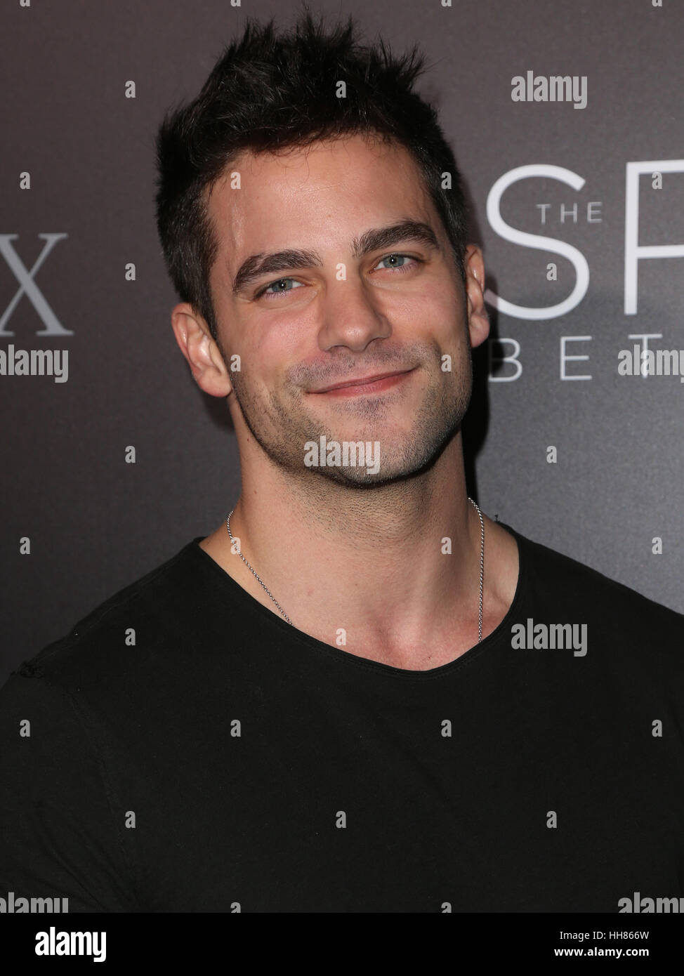 Hollywood, California, USA. 17th Jan, 2017. Brant Daugherty, At ...