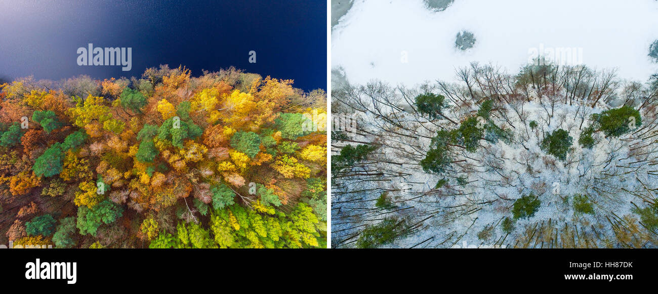 COMBO - The 2-part composite picture shows the same section of wooded ...