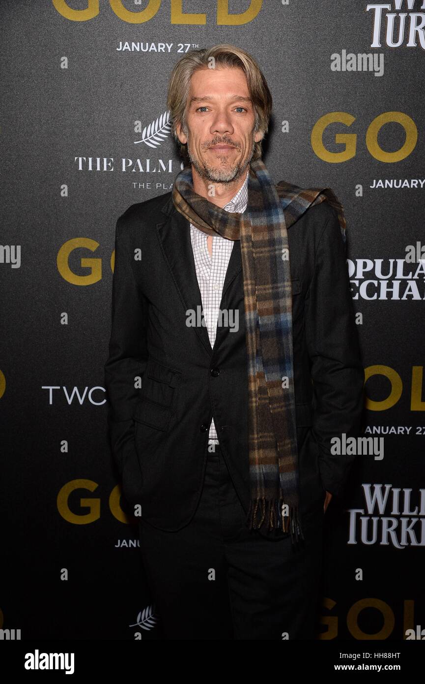 New York, NY, USA. 17th Jan, 2017. Stephen Gaghan at arrivals for GOLD ...
