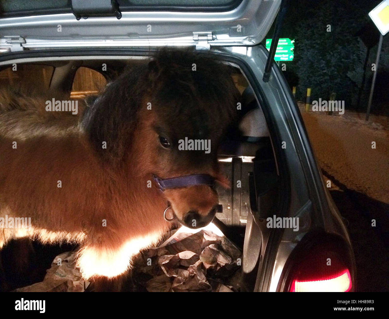 Lieberose, Germany. 14th Jan, 2017. HANDOUT - A handout picture made ...