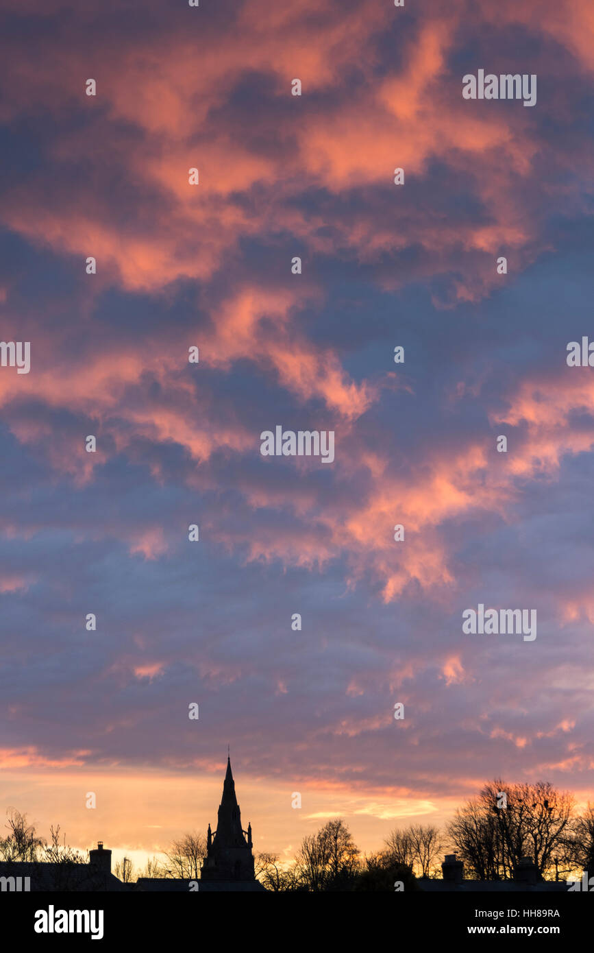 Willingham hi-res stock photography and images - Alamy