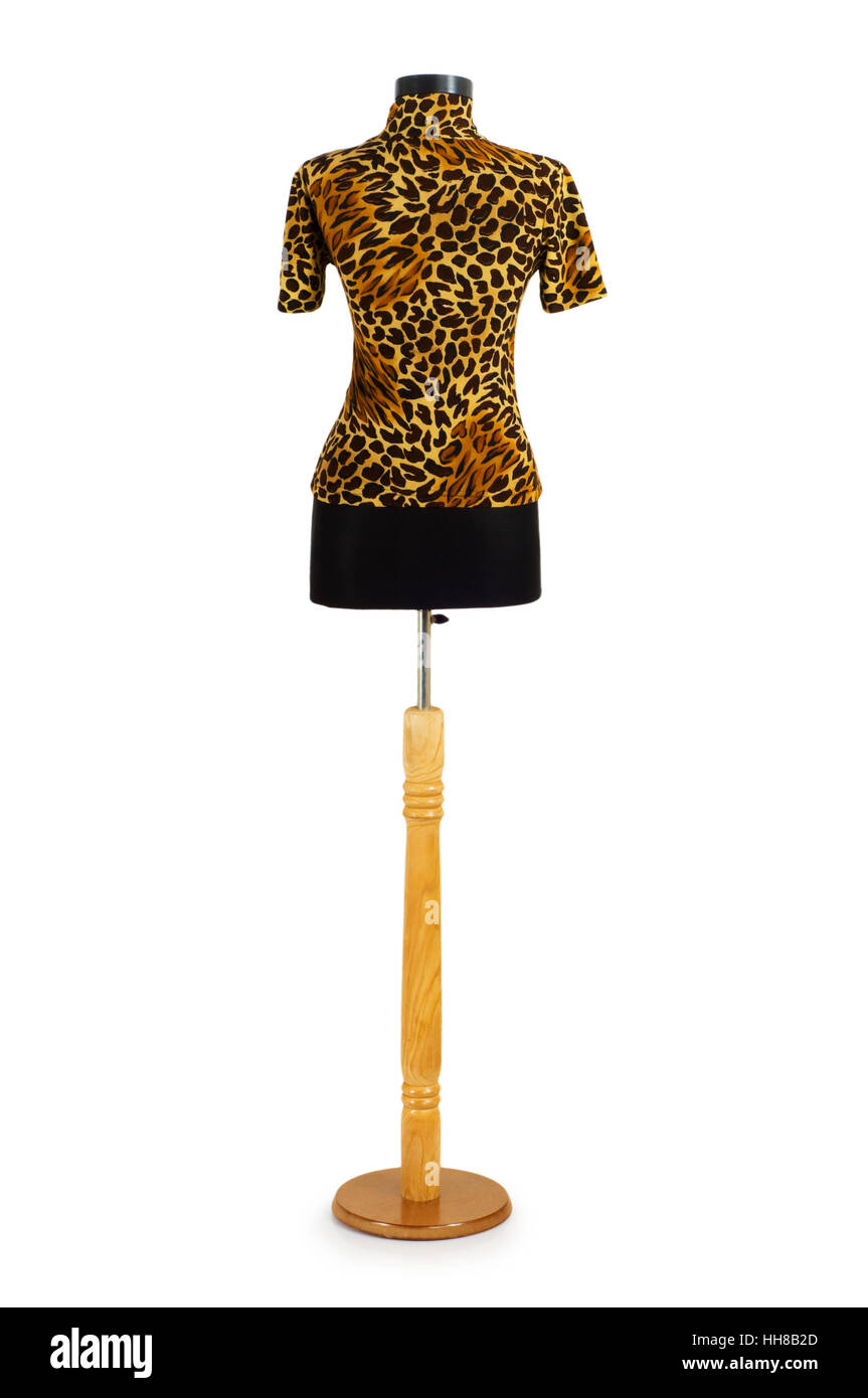 woman, isolated, fashion, colour, female, elegance, cat, big cat ...